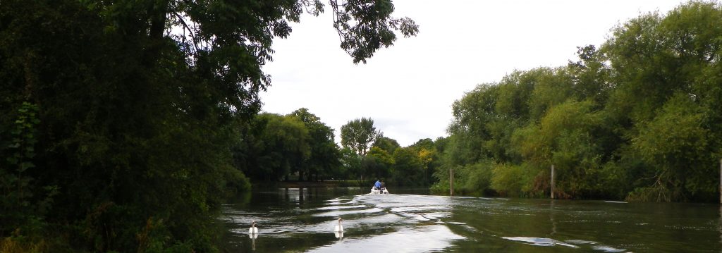 Maidenhead to Teddington Catchment Partnership - Thames21