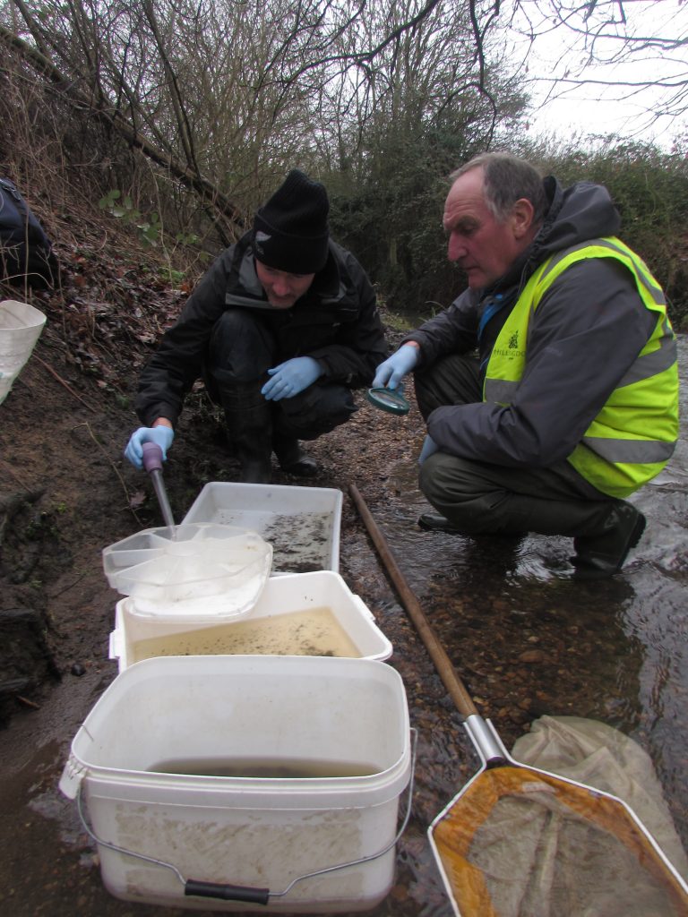 On Philpot's Farm you'll find some riverfly monitoring - Thames21