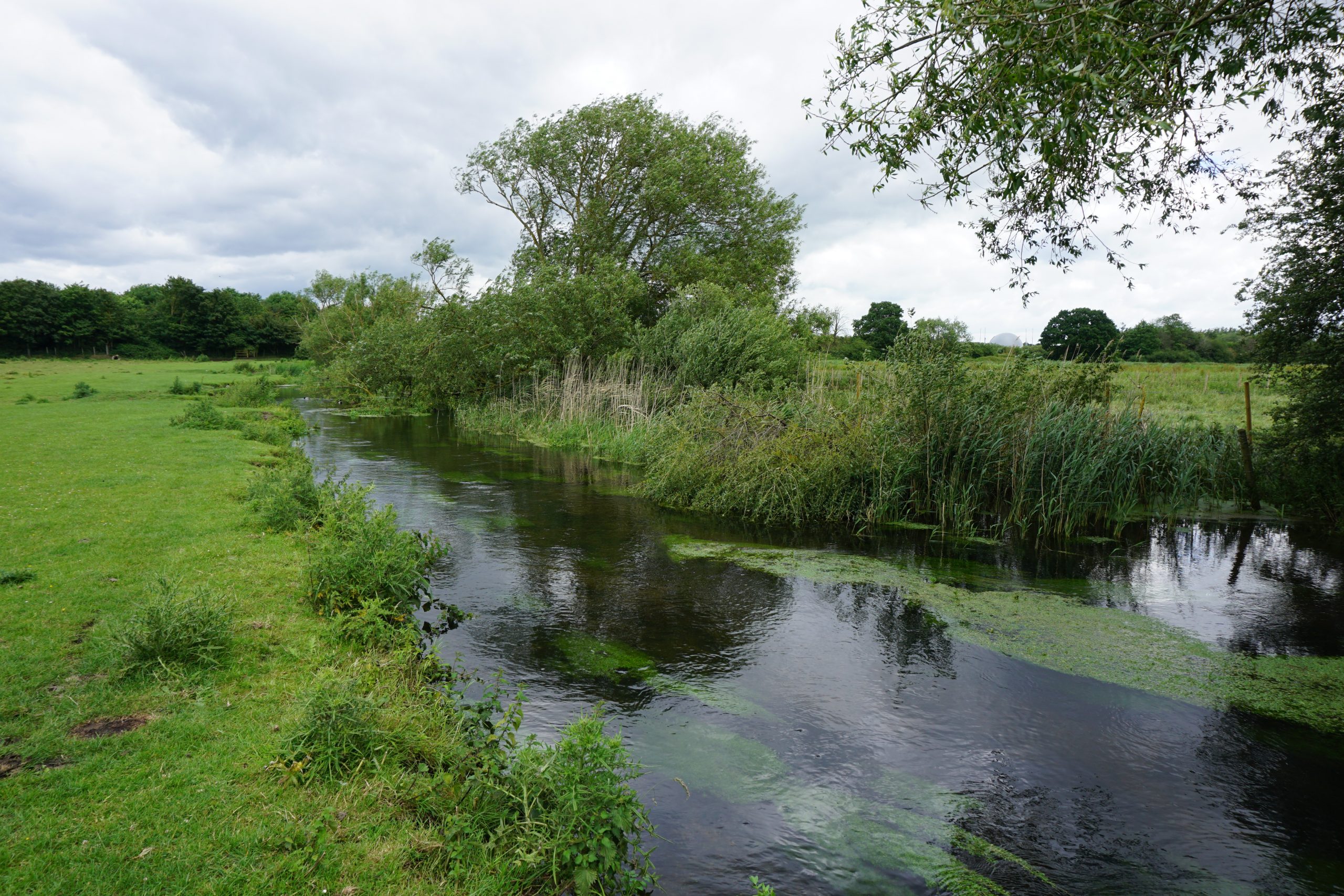 Modular River Physical Survey - MoRPh - Thames21