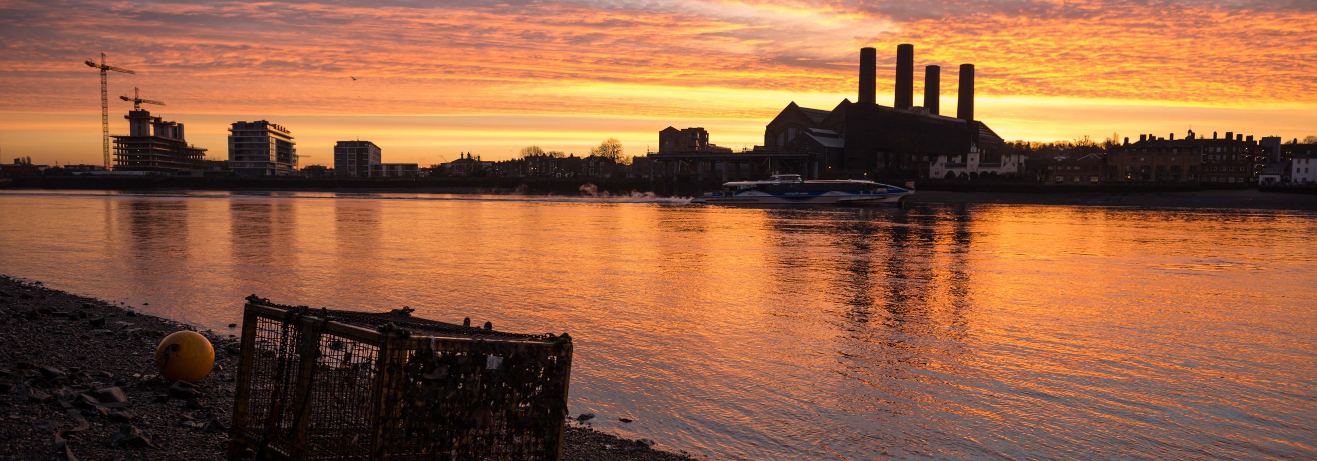 Thames River Watch: protecting the Thames - Thames21