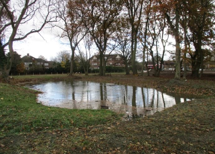 Stanmore Marsh - Thames21