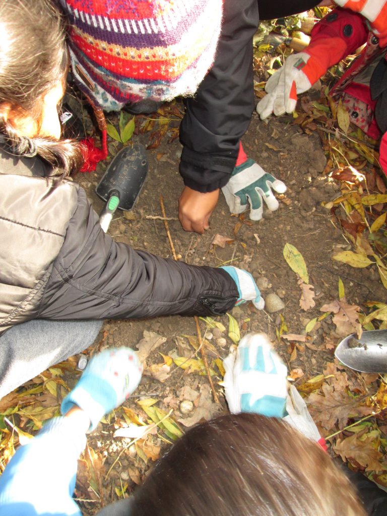 Stanmore Marsh - Thames21