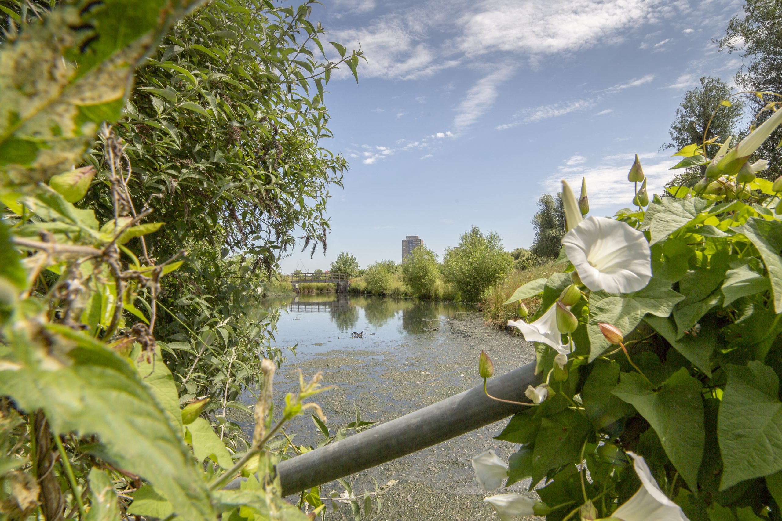 Join a River Clean - Thames21