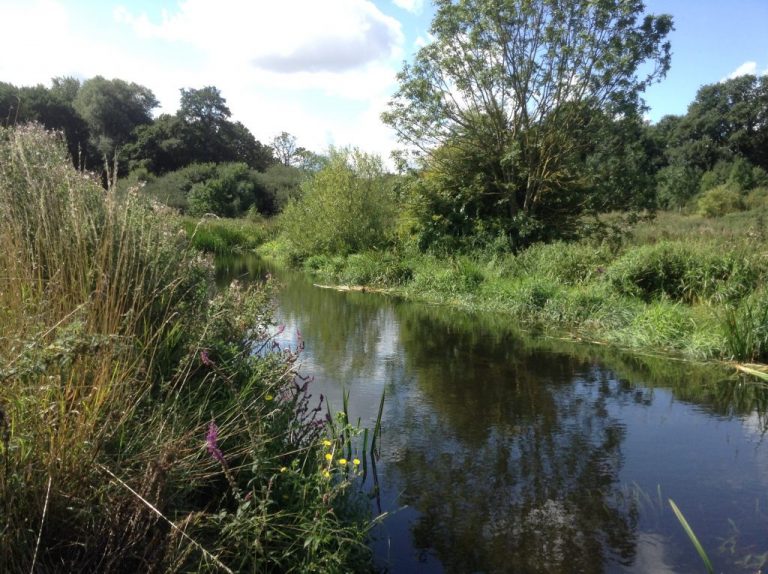 River restoration: Rivers of the Fanns - Thames21