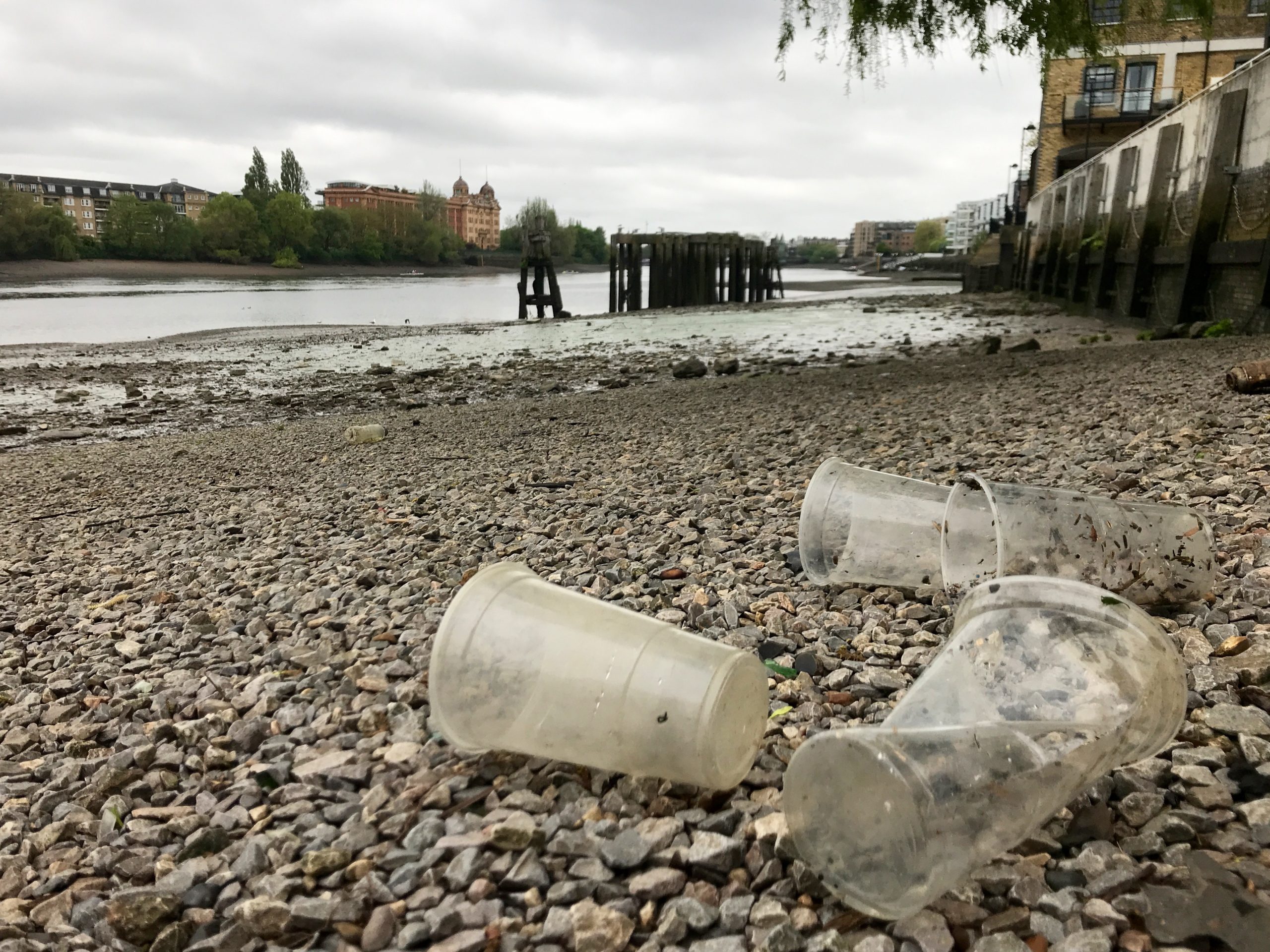 In The Drink: tackling plastic cups - Thames21