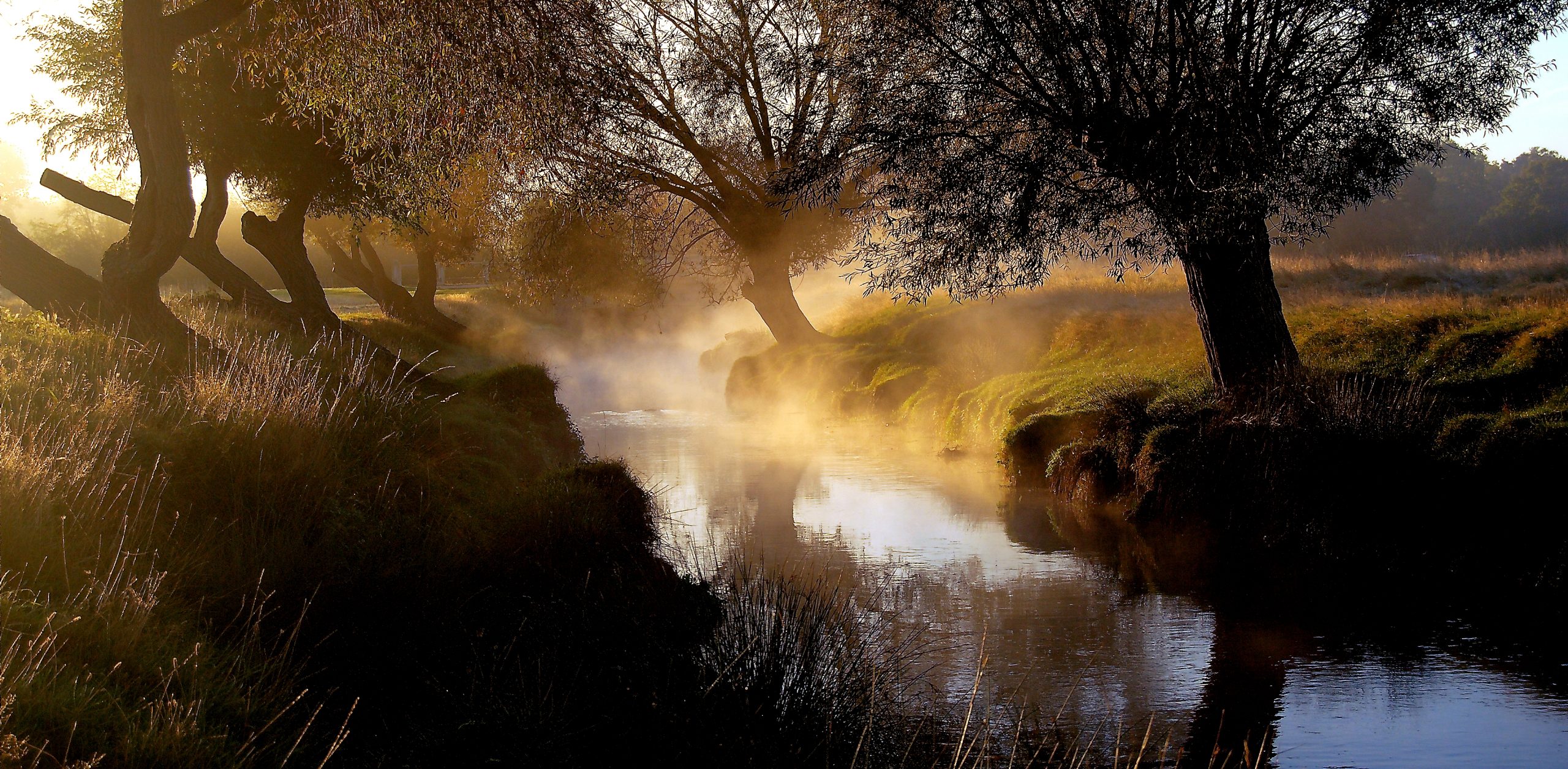 Lockdown River Resources - Thames21