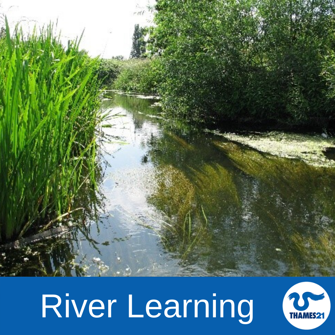 Lockdown River Resources - Thames21