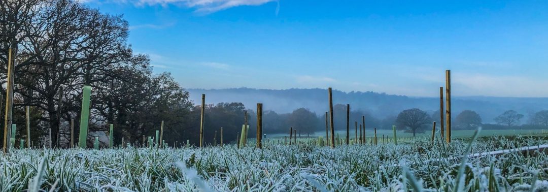 Natural Flood Management Resources for the Roding Catchment - Thames21