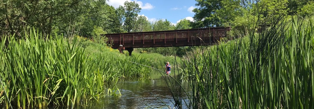 Roding, Beam & Ingrebourne (RBI) Catchment Partnership - Thames21