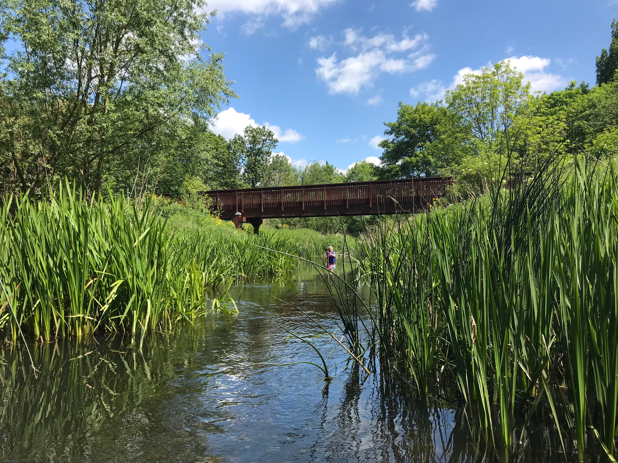 Roding, Beam & Ingrebourne (RBI) Catchment Partnership - Thames21