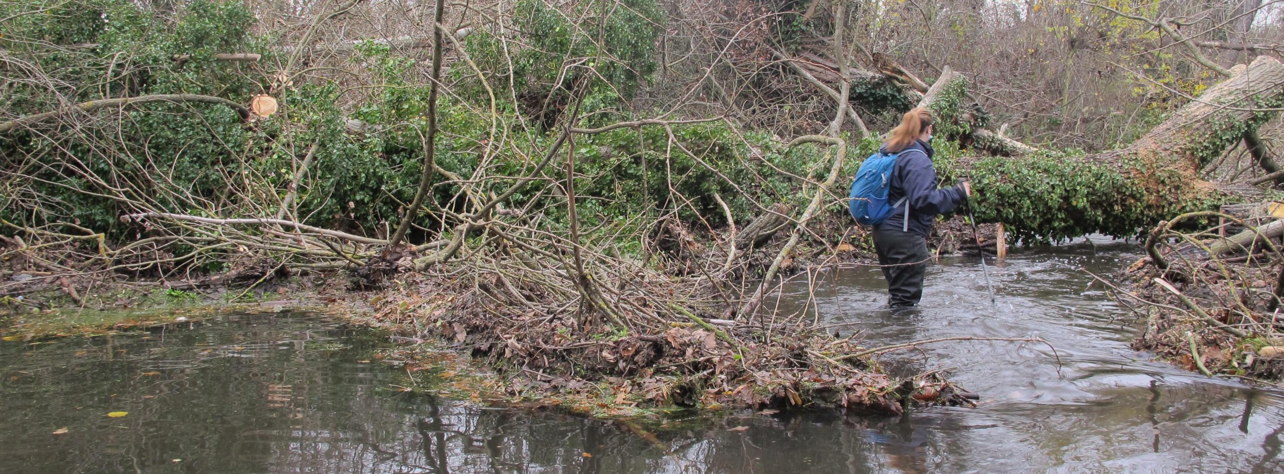 Training Registration: Natural Flood Management maintenance and ...