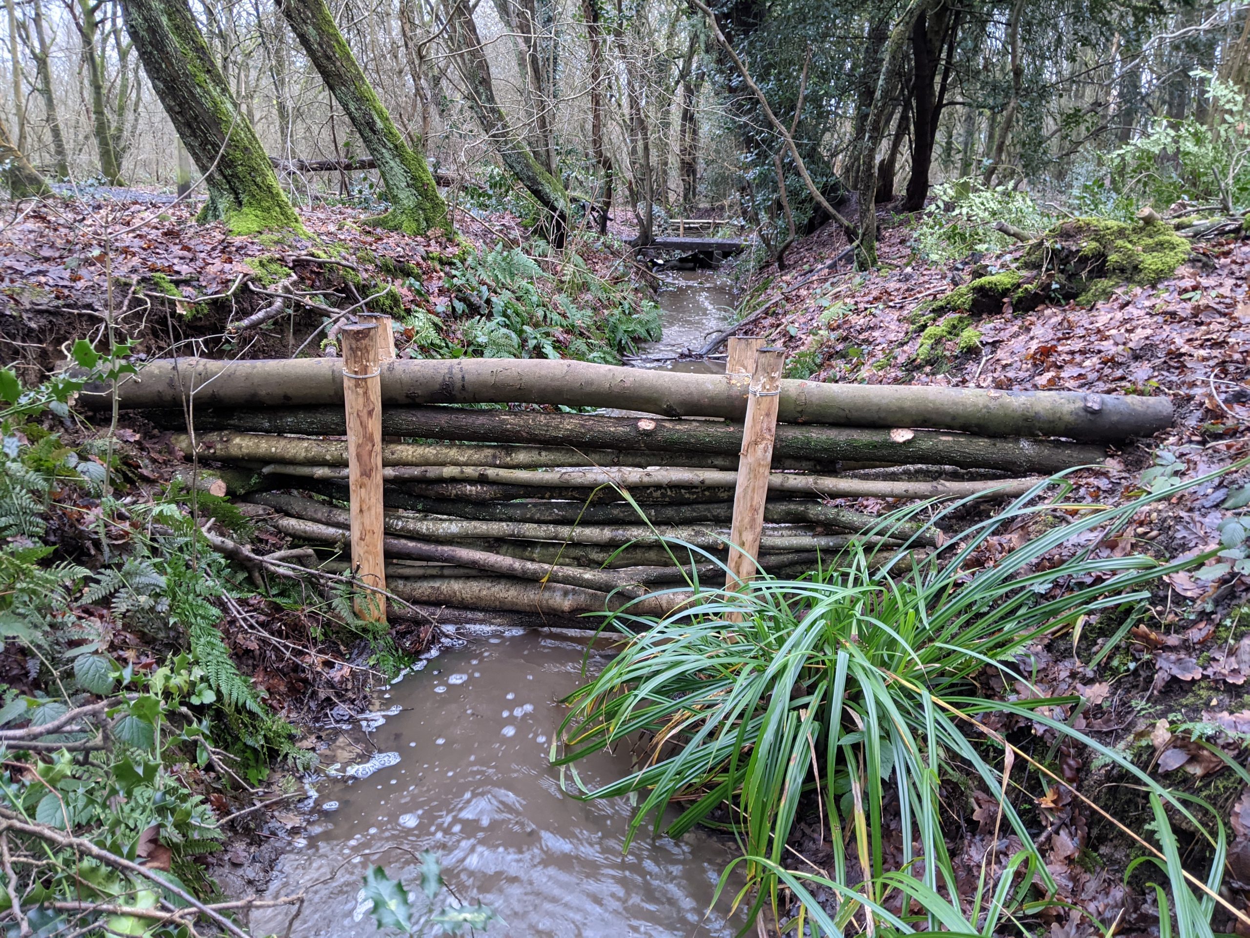 Natural Flood Management - Thames21