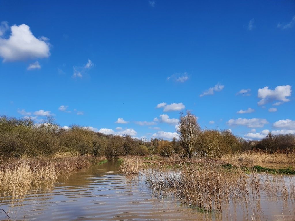 Mardyke Valley - Thames21