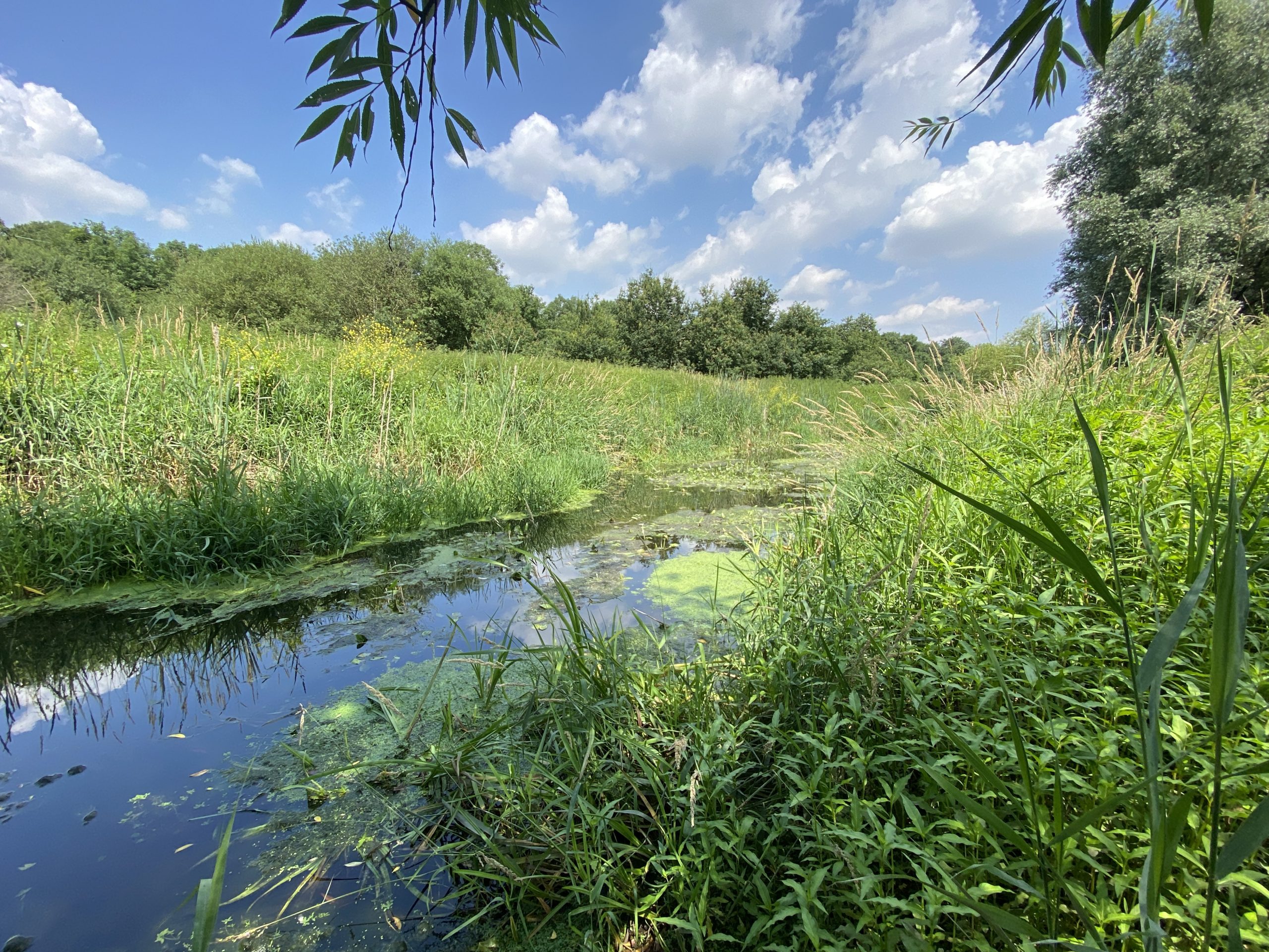 Mardyke Valley - Thames21