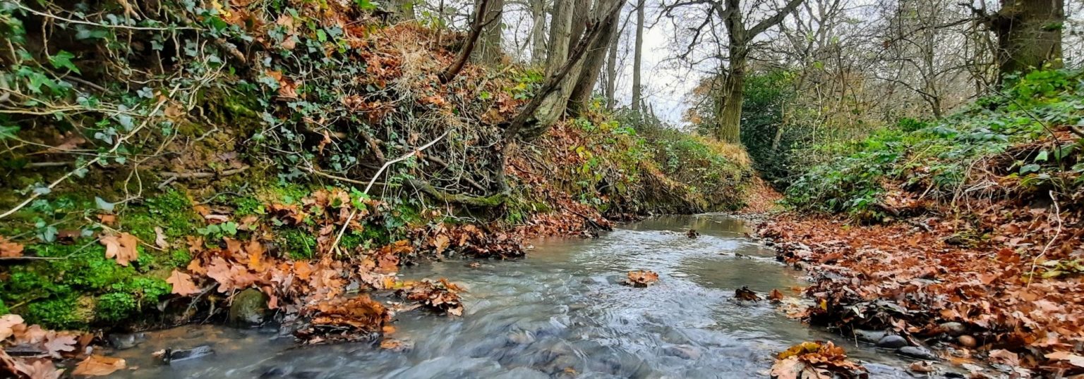 Donate and help Thames21 restore rivers! - Thames21