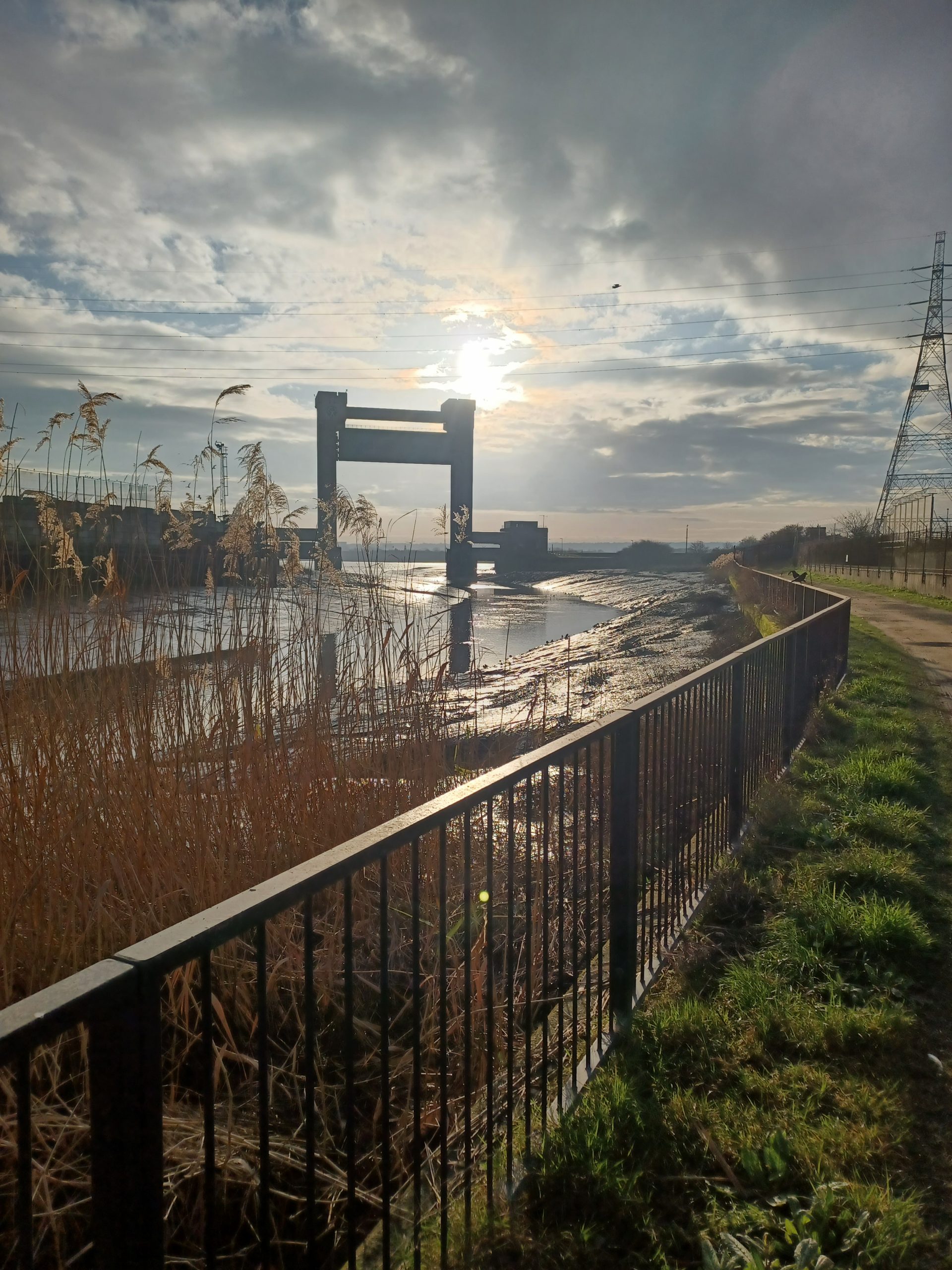 MoRPh Estuaries - communities assessing estuarine habitats - Thames21