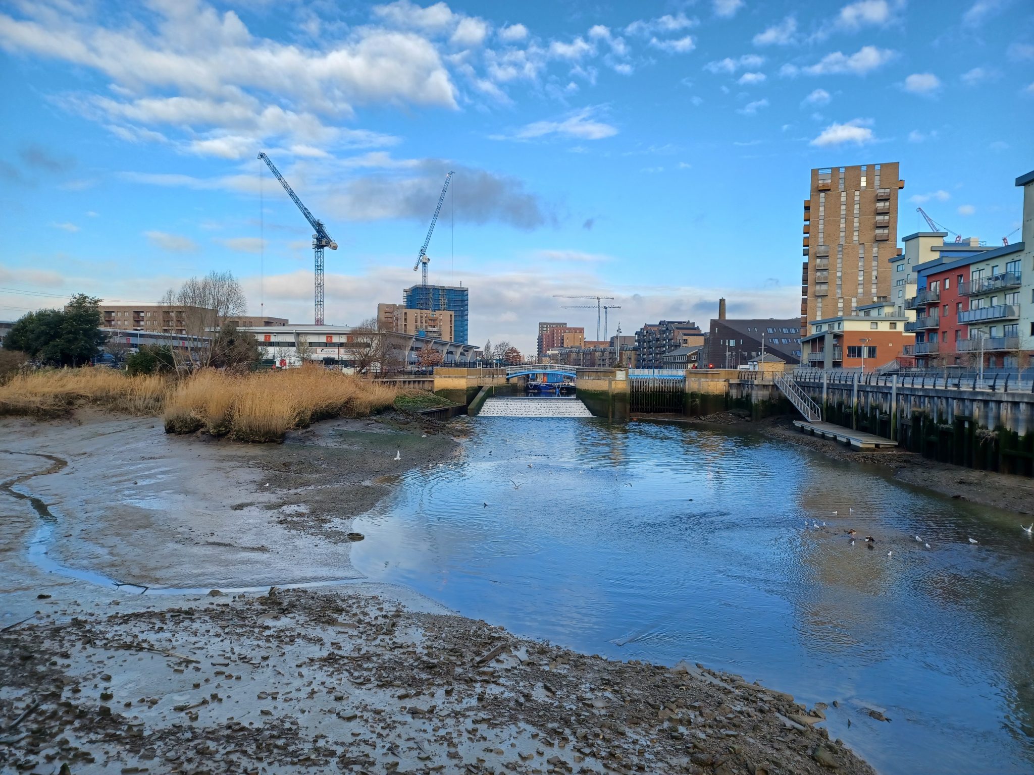 What is the tidal Thames? - Thames21