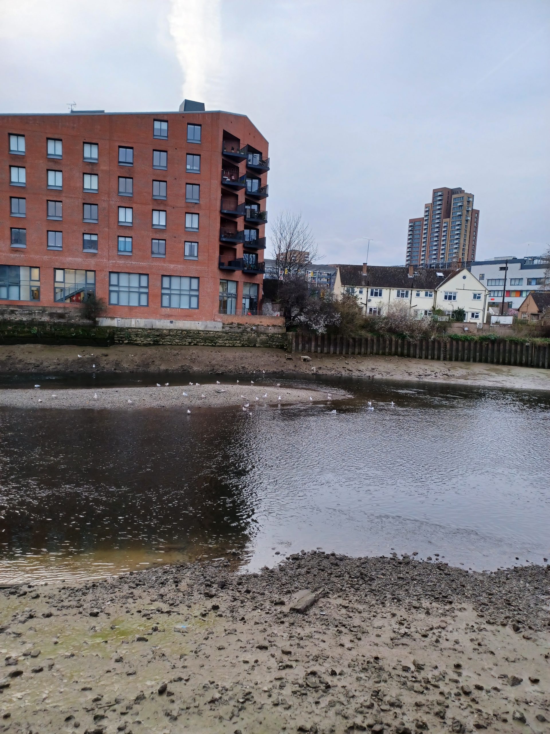 MoRPh Estuaries - communities assessing estuarine habitats - Thames21