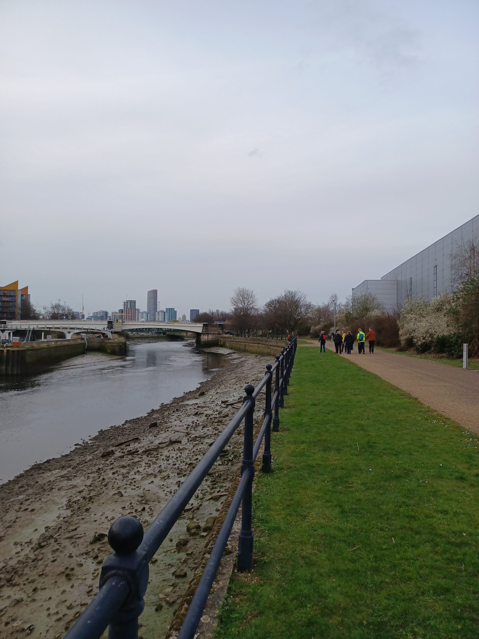 MoRPh Estuaries - communities assessing estuarine habitats - Thames21