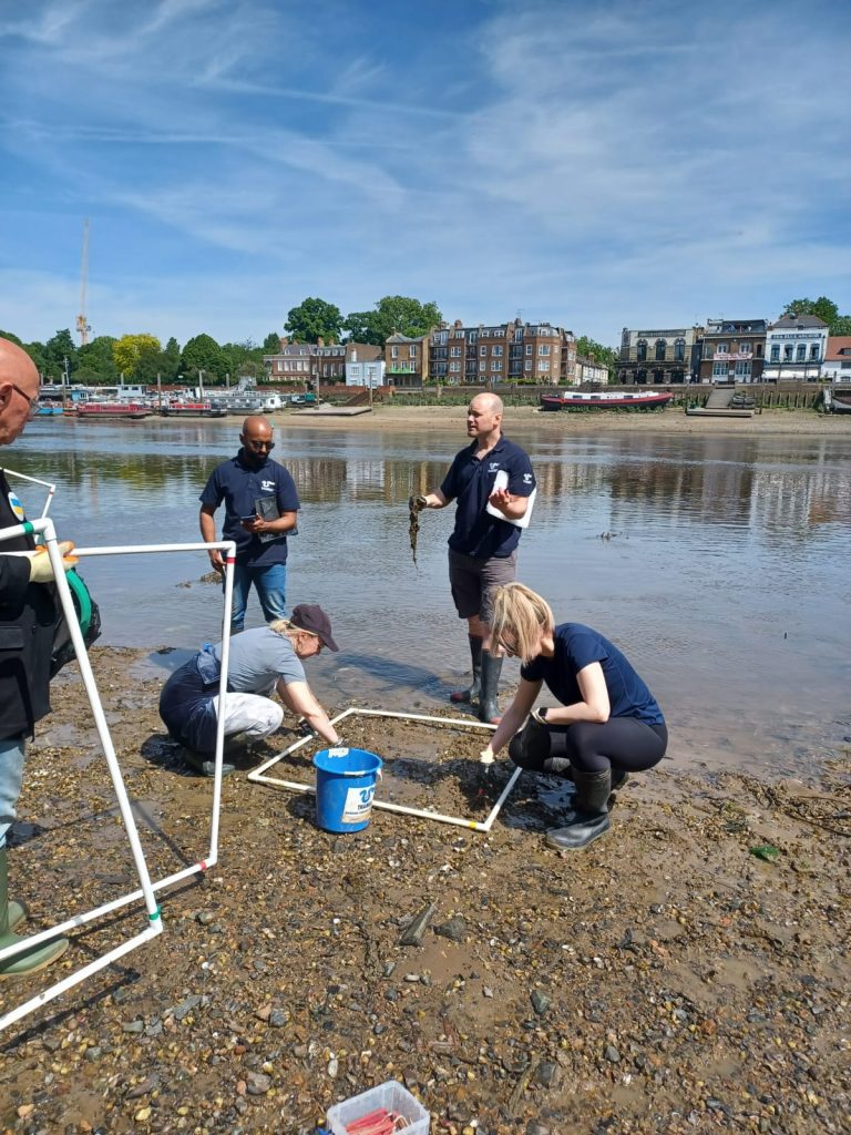 Putting Healthy Rivers at the Heart of the Community | Thames21