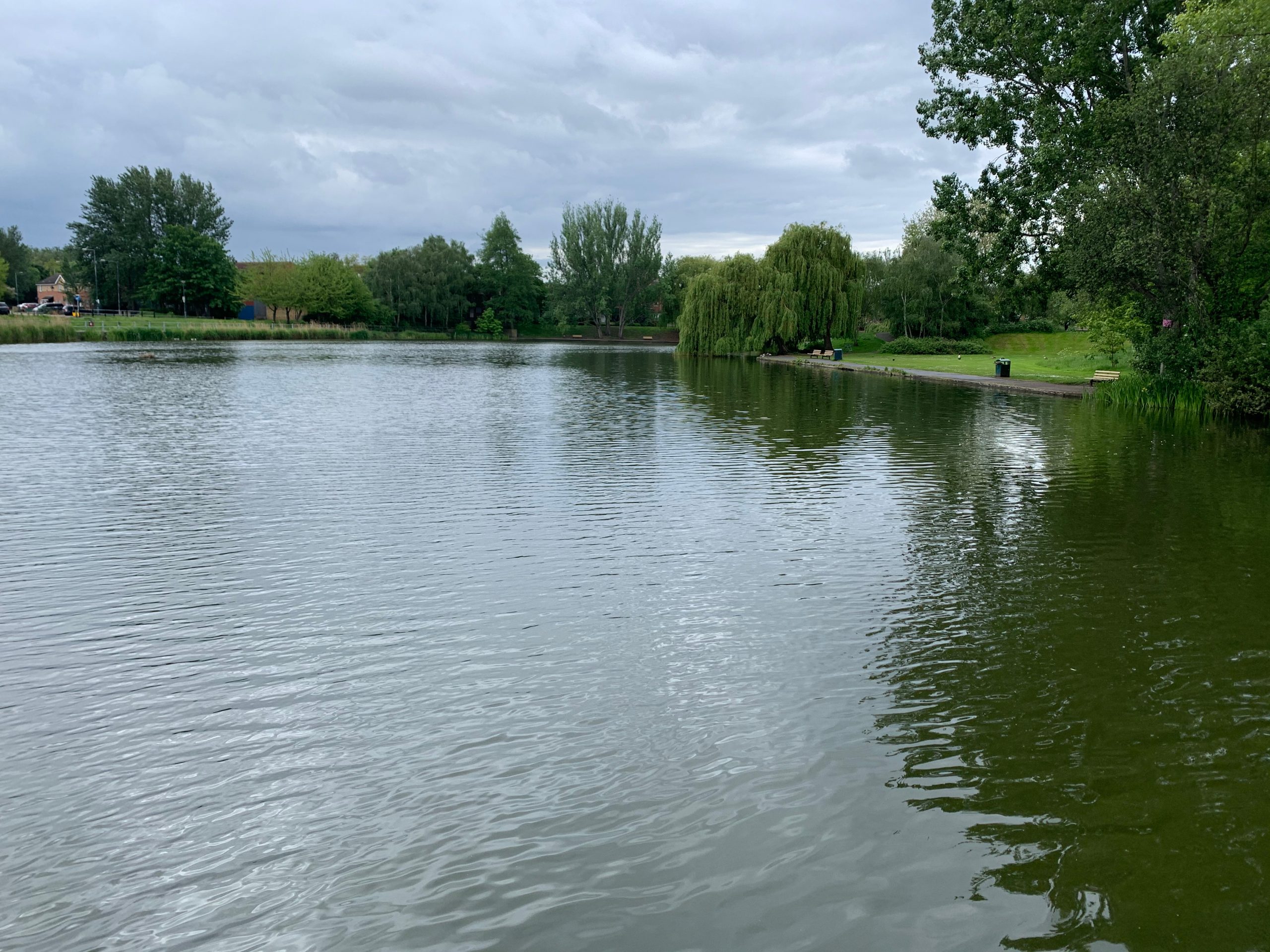 Putting Healthy Rivers at the Heart of the Community | Thames21