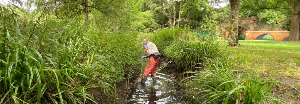 Chinbrook Meadows Wetlands - Thames21