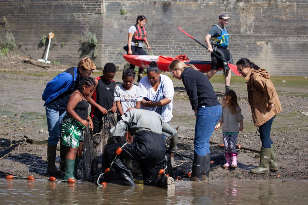 Thames River Watch - Thames21