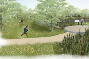 Chinbrook Community SUDS: Healthy Wetlands Challenge - Thames21