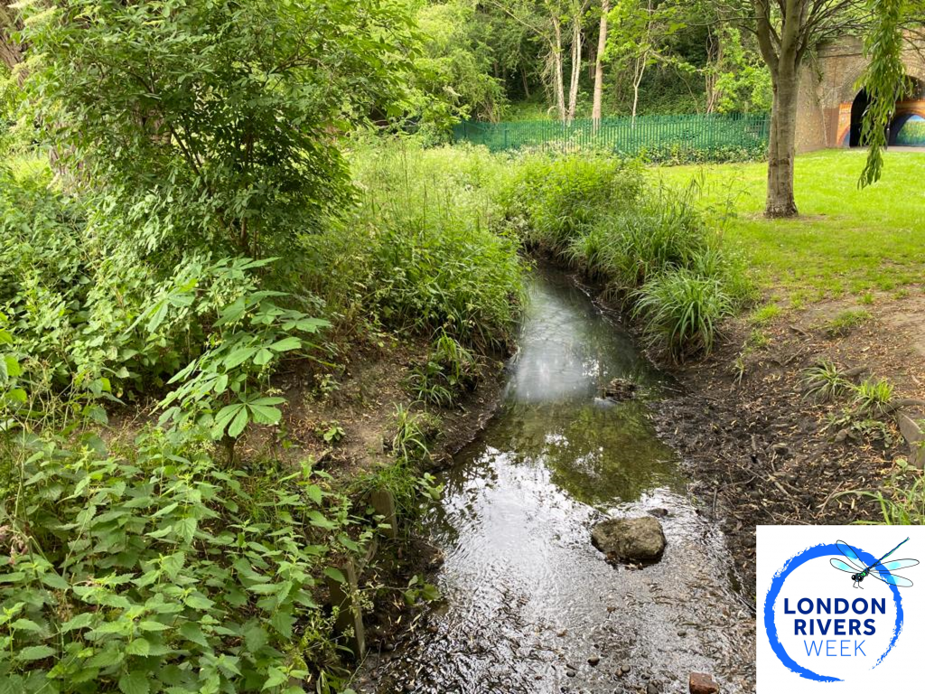 Putting Healthy Rivers at the Heart of the Community | Thames21