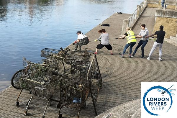 Putting Healthy Rivers at the Heart of the Community – Thames21