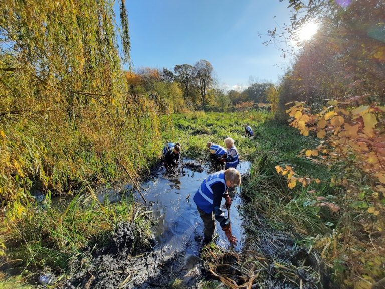 River restoration, explained - Thames21