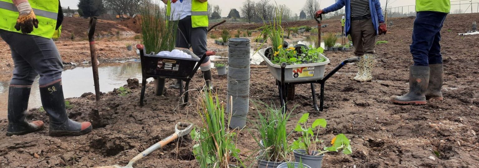 River restoration, explained - Thames21