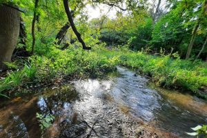 River catchments, explained - Thames21