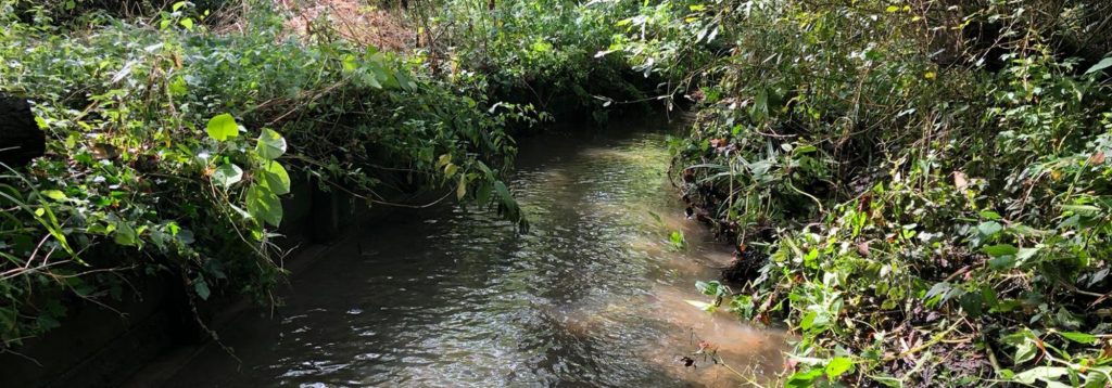 Dollis Brook toe board removal - A river restoration project - Thames21