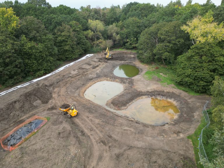 Putting Healthy Rivers at the Heart of the Community | Thames21