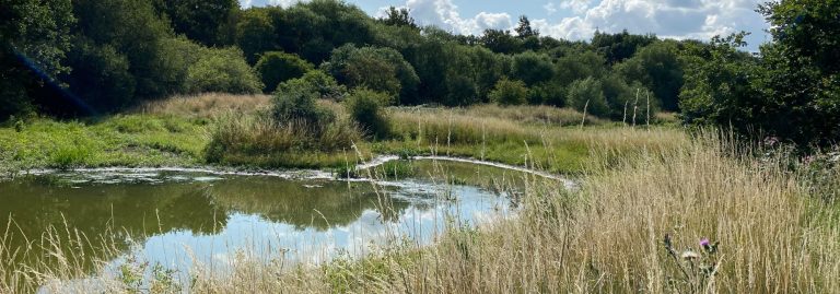 Putting Healthy Rivers at the Heart of the Community | Thames21