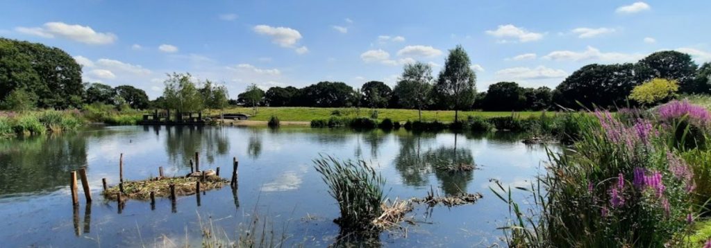 River Biodiversity Net Gain Units - Thames21