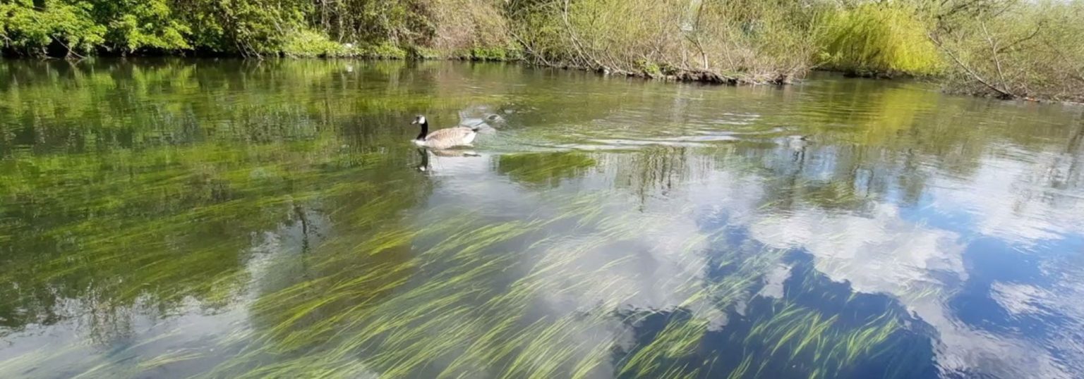 Thames21's response to the government's launch of an Independent ...