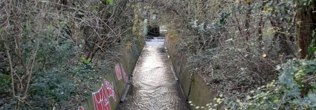 river restoration Archives - Thames21