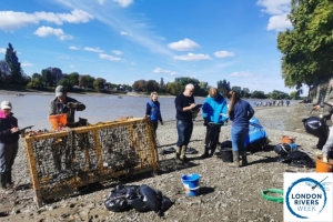 Putting Healthy Rivers at the Heart of the Community | Thames21