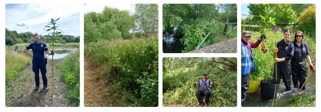 Putting Healthy Rivers at the Heart of the Community | Thames21