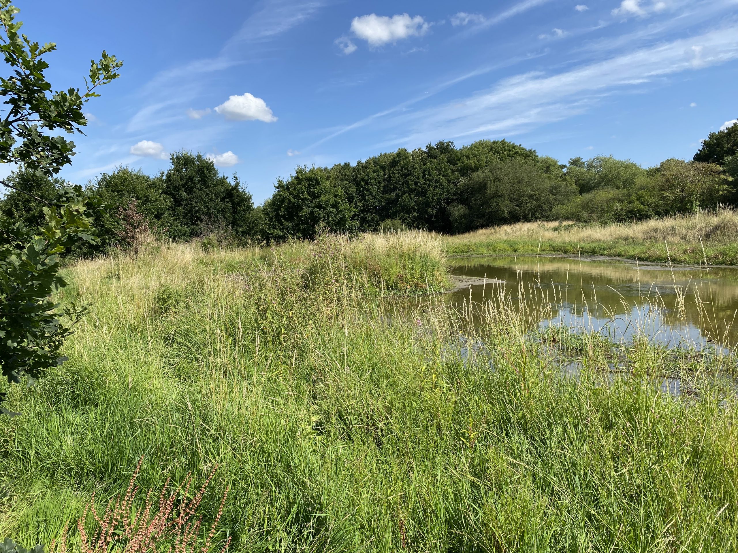 Putting Healthy Rivers at the Heart of the Community | Thames21