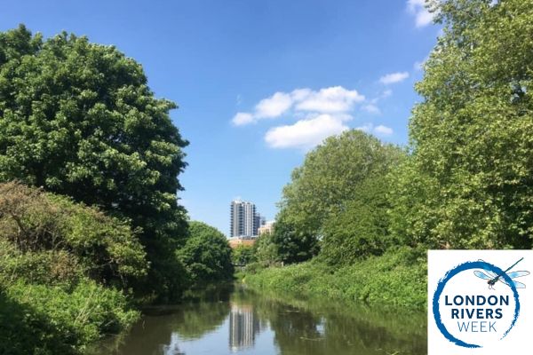 Putting Healthy Rivers at the Heart of the Community | Thames21
