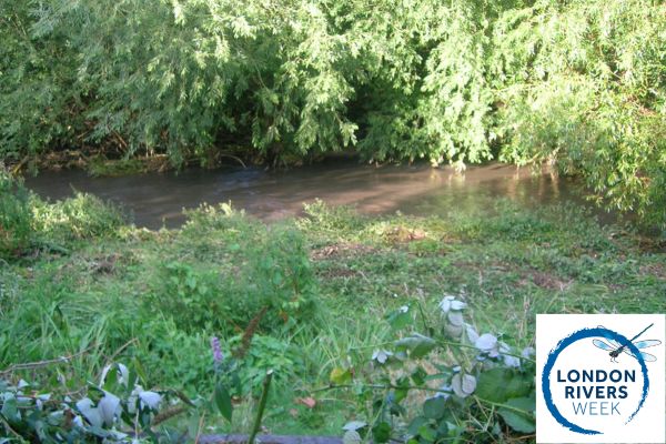 Putting Healthy Rivers at the Heart of the Community – Thames21