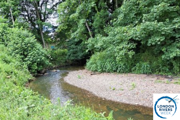 Putting Healthy Rivers at the Heart of the Community | Thames21