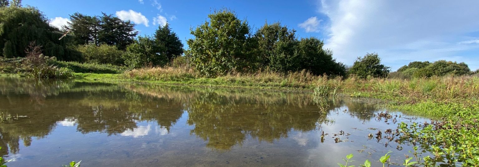 Restoring London’s rivers and delivering river basin management plans ...