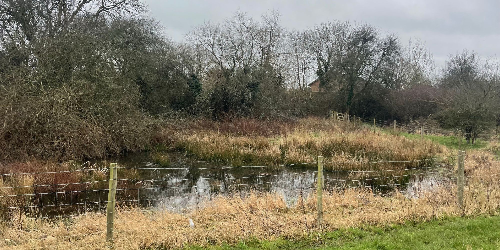 Backwater restoration in the Maidenhead to Teddington catchment - Thames21