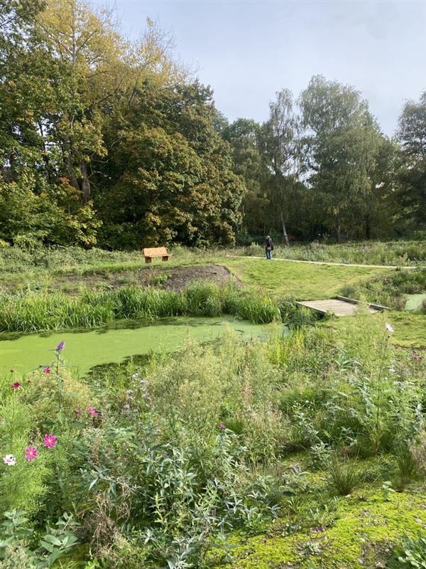 Chinbrook Meadows Wetlands - Thames21