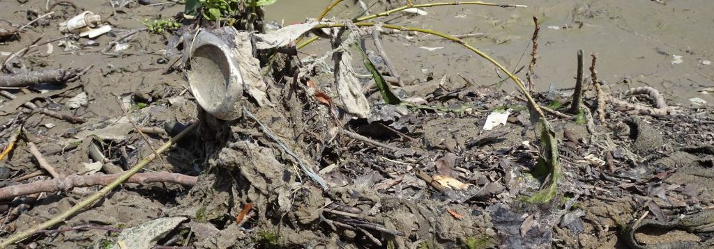 Chalk streams, explained - Thames21