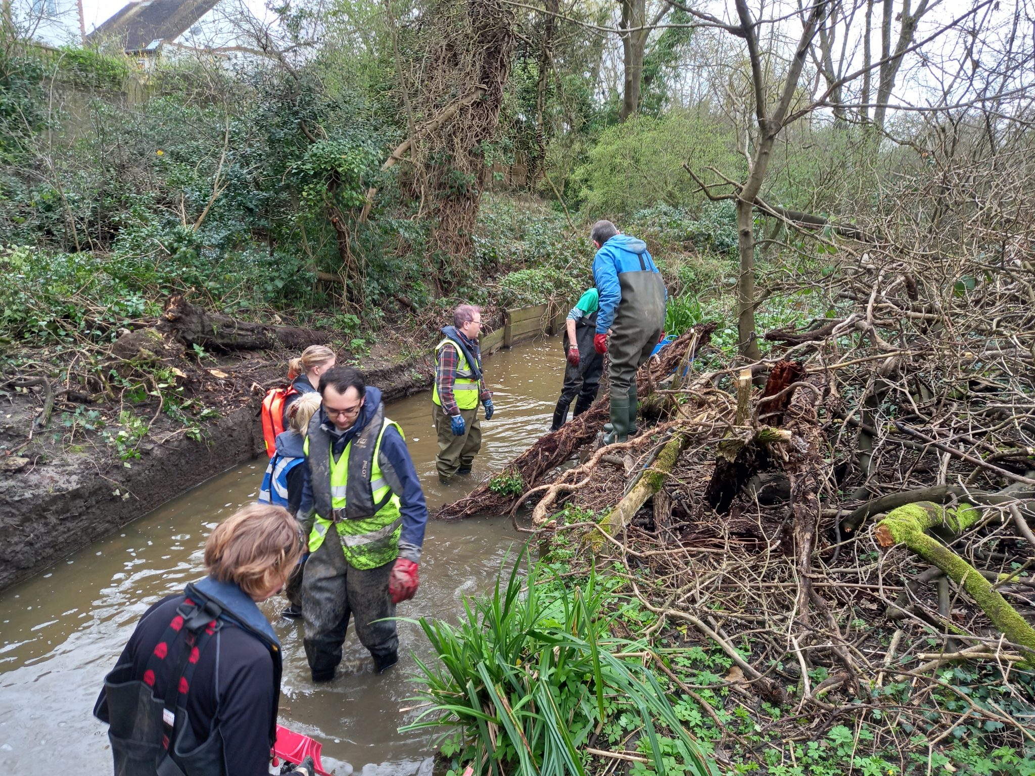 Putting Healthy Rivers at the Heart of the Community | Thames21